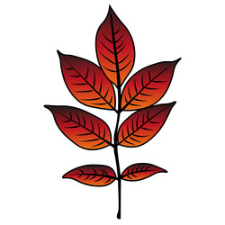 Ash Vector Images (over 20,000)