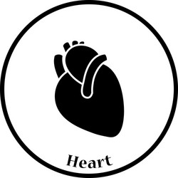 Human Body Heart Vector Images (over 22,000)