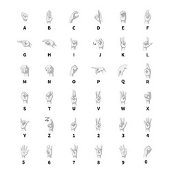 Design Vector Images (over 34.6 million)