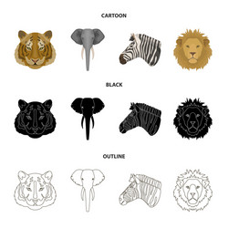 Tiger lion elephant zebra realistic animals Vector Image
