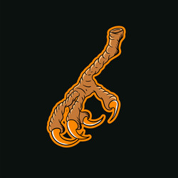 Hand drawn of a predatory bird claws outline Vector Image