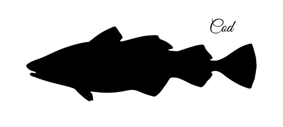 Silhouette of cod fish Royalty Free Vector Image