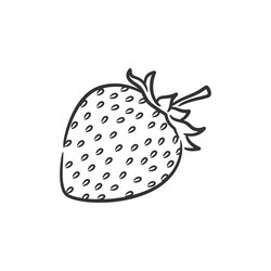 Strawberry line art Royalty Free Vector Image - VectorStock