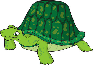 Turtle Cartoon Crazy Vector Images (over 120)