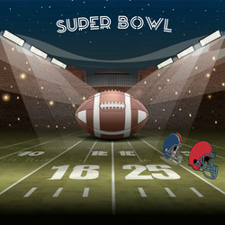 Super bowl american stadium field football game Vector Image