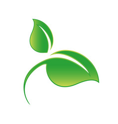 Leaf Vector Images (over 2 million)