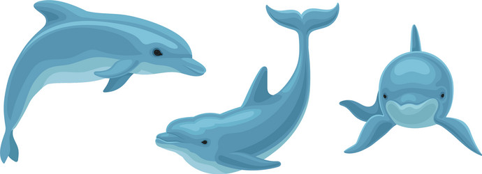 Blue dolphin as aquatic mammal with streamlined Vector Image