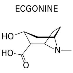 Ecgonine molecule skeletal formula Royalty Free Vector Image