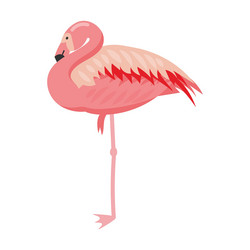 Cartoon Leg Vector Images (over 61,000)