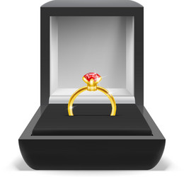 Object ring box Royalty Free Vector Image - VectorStock