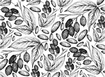 Pili Vector Images (66)