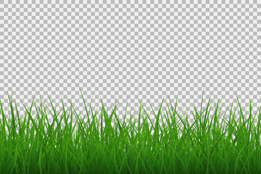 Grass Seamless Texture Vector Images (over 10,000)