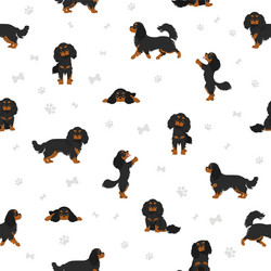 Cavalier king charles spaniel seamless pattern Vector Image