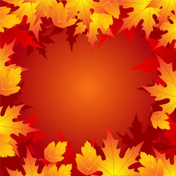 Fallen maple leaves pattern Royalty Free Vector Image