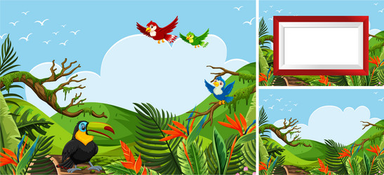 Bird Border Clipart Vector Images (over 370)