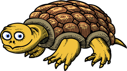 Turtle Cartoon Crazy Vector Images (over 120)