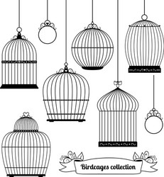 Bird Cage Line Drawing Vector Images (over 620)