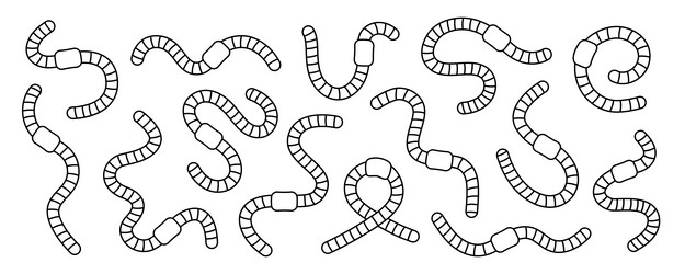 Colored worms character set earthworm mascot Vector Image