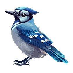 Blue Jay Bing Animated Wallpaper