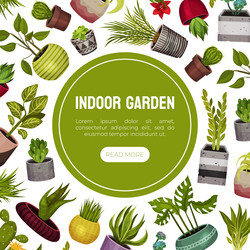 House plant banner design with pot template Vector Image