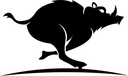 Boar Skull Vector Images (over 130)