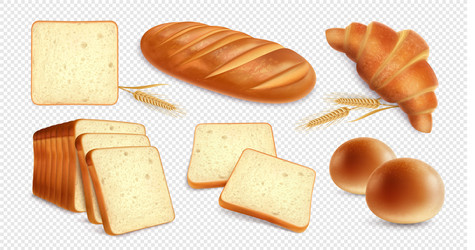 Roasted toasts bread set Royalty Free Vector Image
