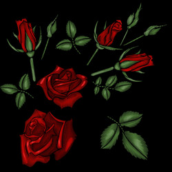 Red roses embroidery Royalty Free Vector Image