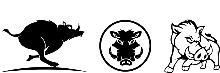 Boar Skull Vector Images (over 130)