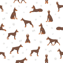 Doberman pinscher dogs seamless pattern different Vector Image