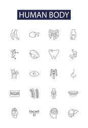 Dreams line icons and signs ambition Royalty Free Vector