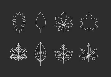 Fall Leaves Outline Vector Images (over 5,800)