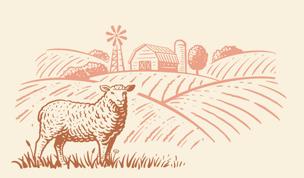 Engraving farm sheep village meadow hand drawn Vector Image