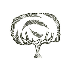 Tree Engraving Vector Images (over 19,000)