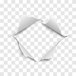 Transparent background transparent pattern Vector Image