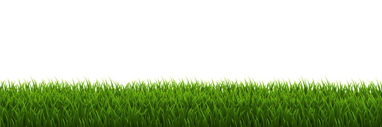 Spring border with green grass and flowers Vector Image
