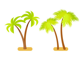 Different types of palm trees Royalty Free Vector Image