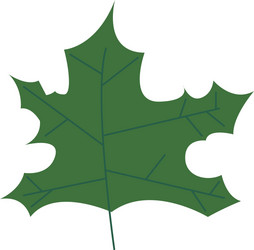 Green color leave nature icon Royalty Free Vector Image