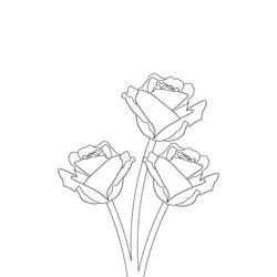 Hand drawn rose flower coloring book Royalty Free Vector