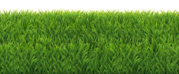 Grass Illustrator Vector Images (over 200,000)