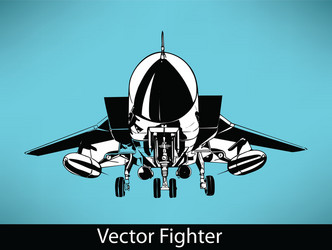 Fighter Royalty Free Vector Image - VectorStock
