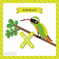 Letter X Flashcards Vector Images (over 140)