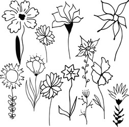 Flower Bw Vector Images (over 140)