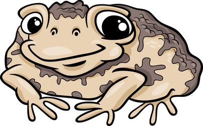 Frog or toad cartoon Royalty Free Vector Image