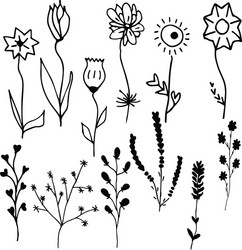 Flower Bw Vector Images (over 140)