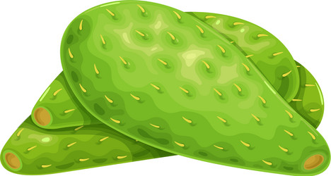 Nopal Vector Images (over 230)