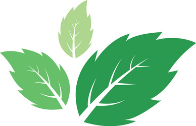 Mint leaves flat icon Royalty Free Vector Image