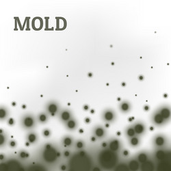 White Wall Moulding Vector Images (over 250)