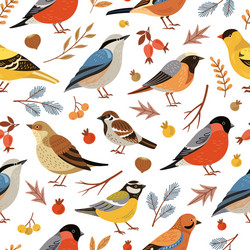 Wild forest birds winter wildlife animal birds Vector Image