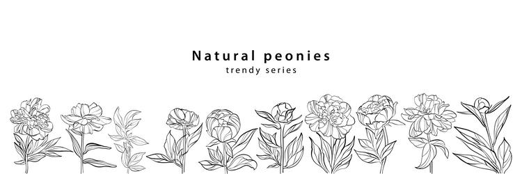 Pion Vector Images (over 480)