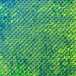 Fish Camouflage Pattern Vector Images (over 140)